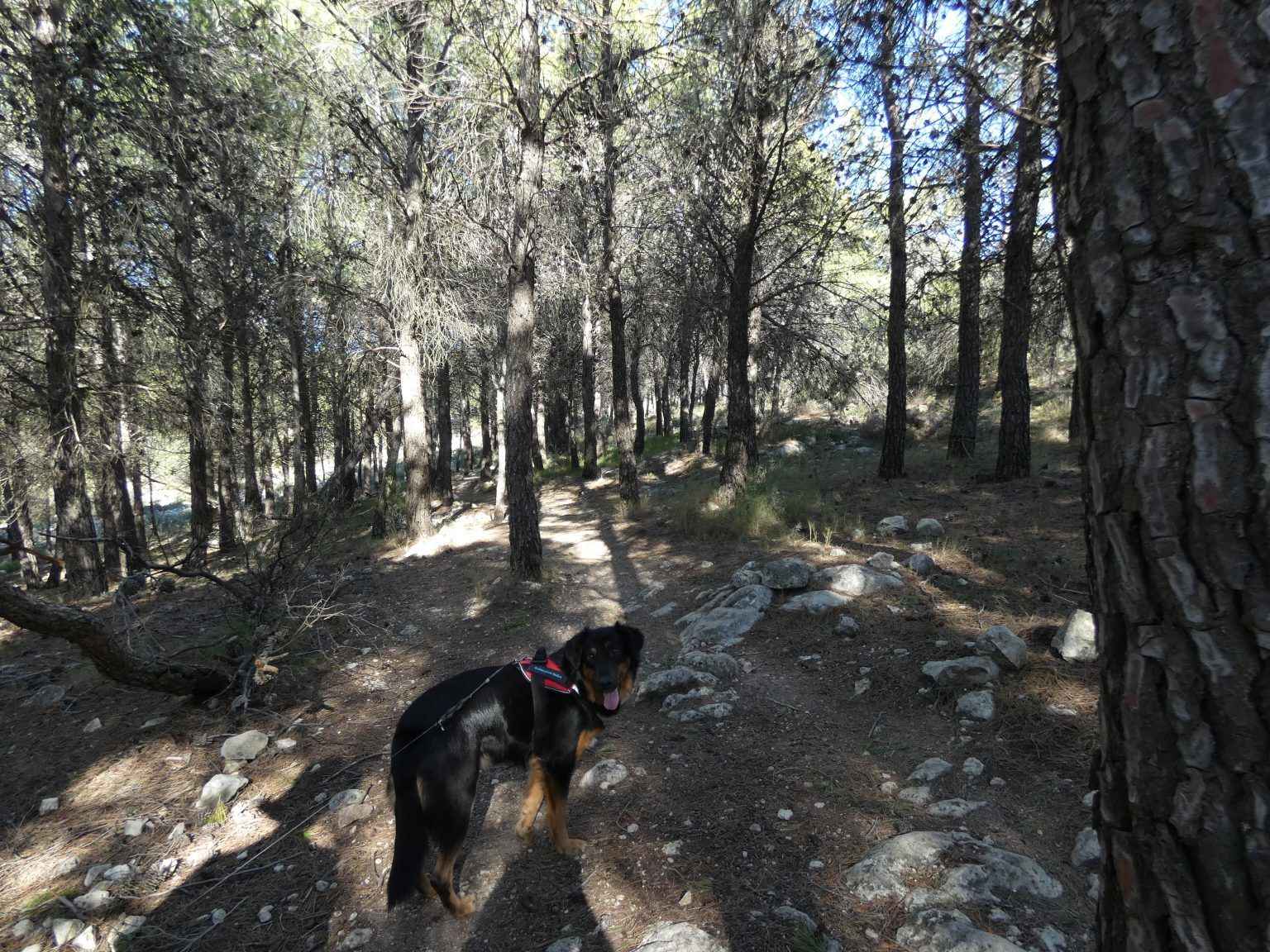 Alcoy - Barranc del Cint, Ermita de Sant Cristòfol, Alt de les Pedreres ...