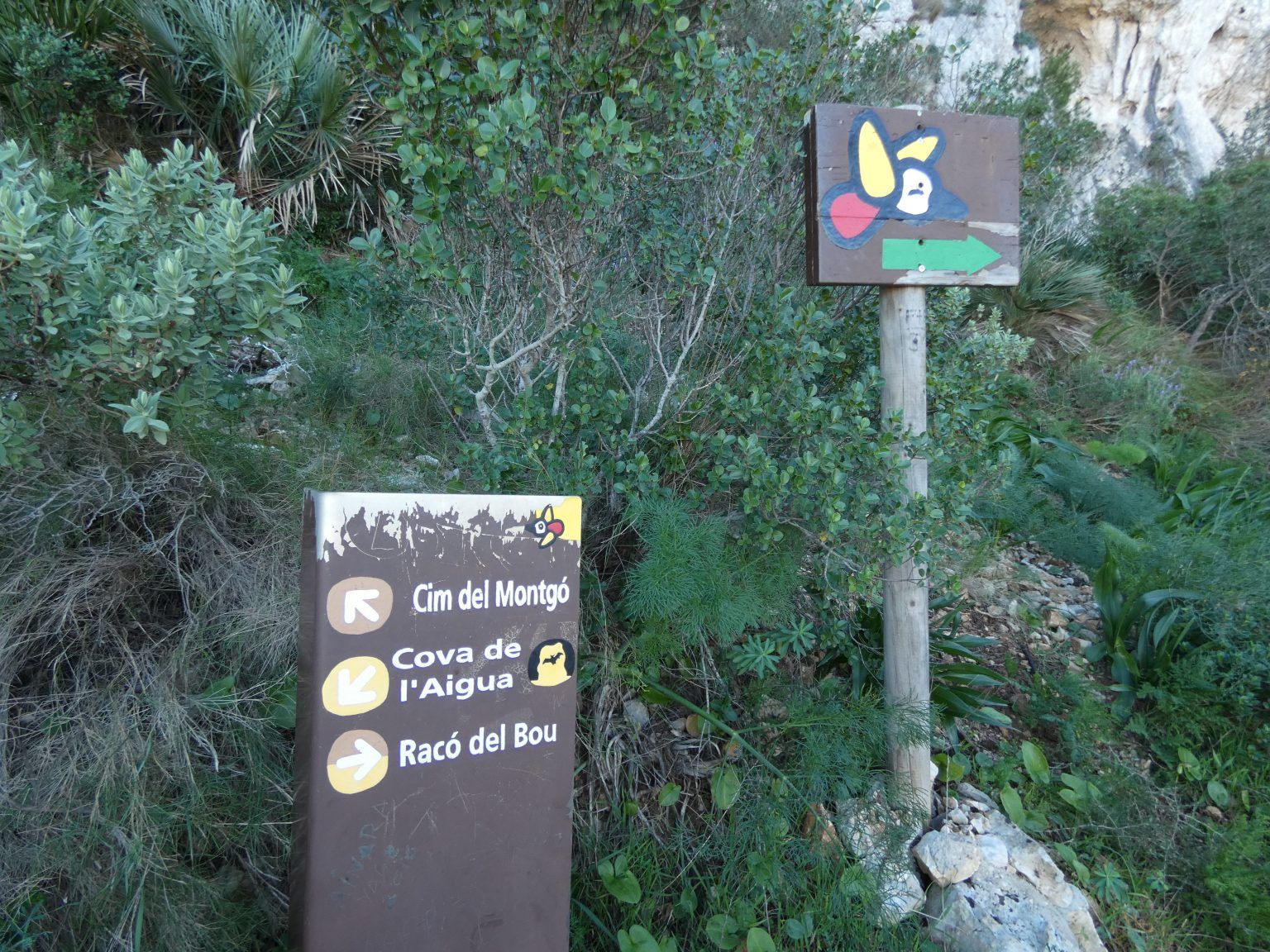 Subida al Montgó desde Denia pasando por la "COVA DEL AIGUA", con ...