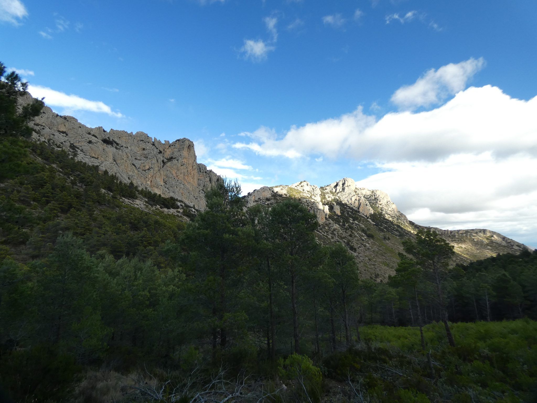 Finestrat: Circular del Puig Campana - Rutas para todos