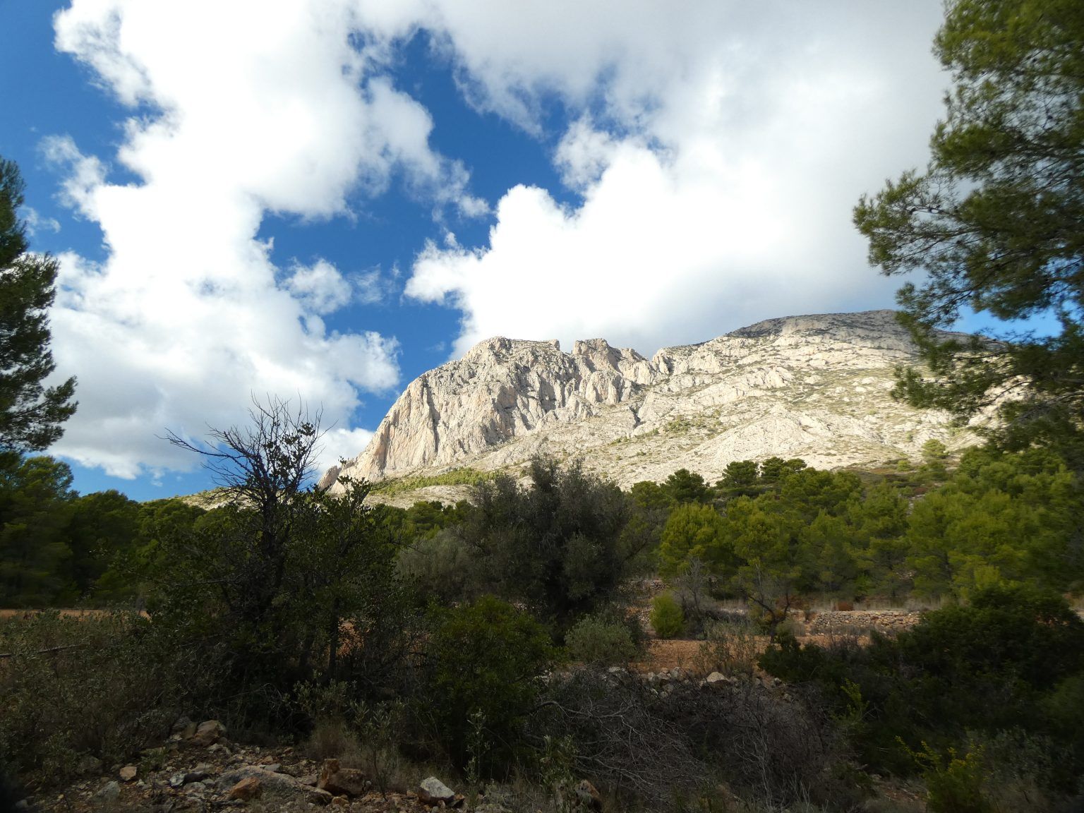 Finestrat: Circular del Puig Campana - Rutas para todos