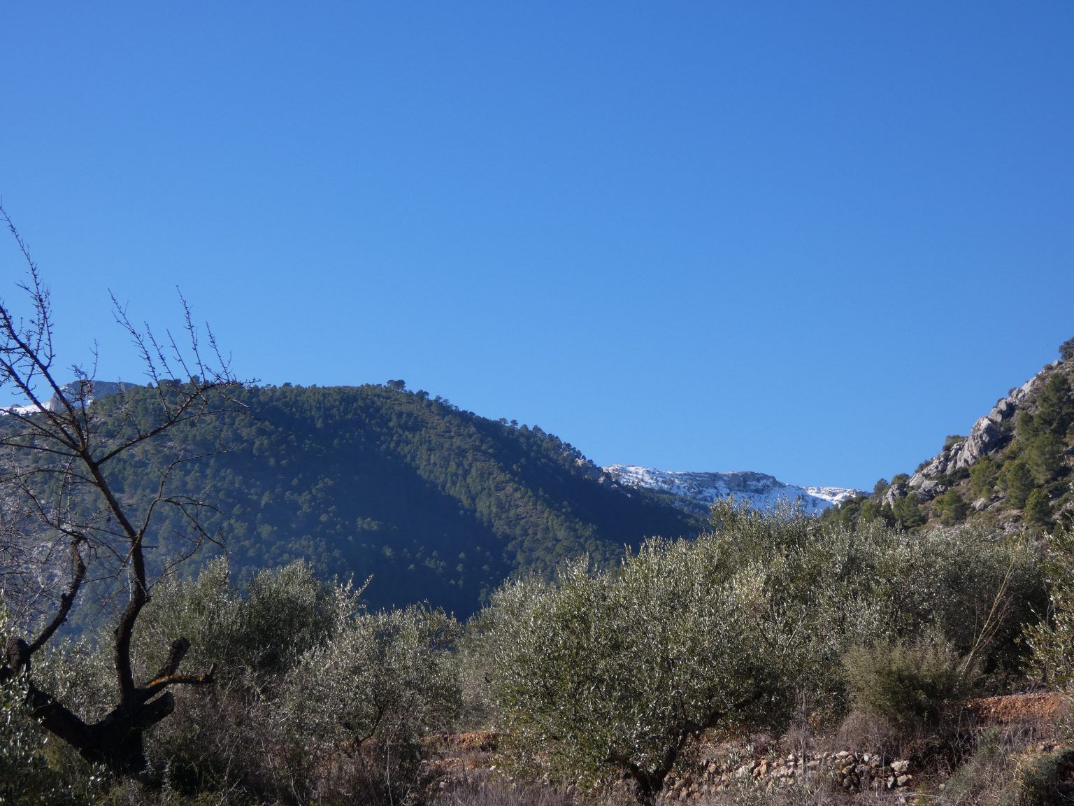 Muro de Alcoi: La "Font del Baladre" - "Penya del Frare"- "Font de l ...