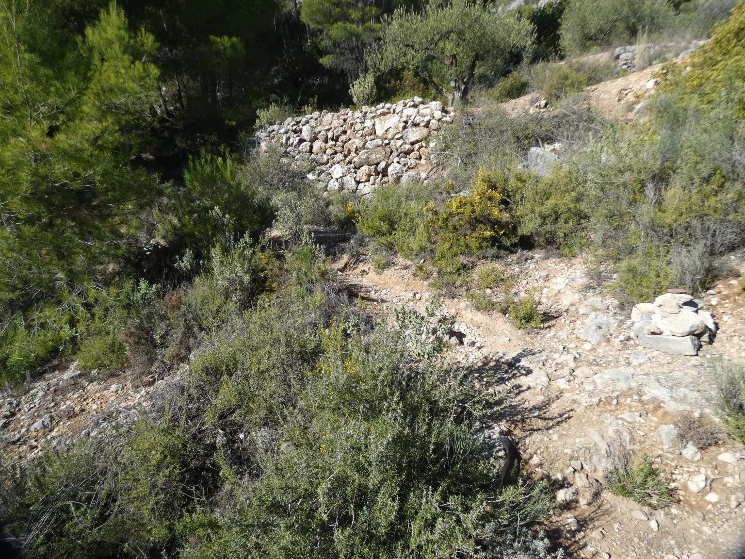 Muro de Alcoi: La "Font del Baladre" - "Penya del Frare"- "Font de l ...
