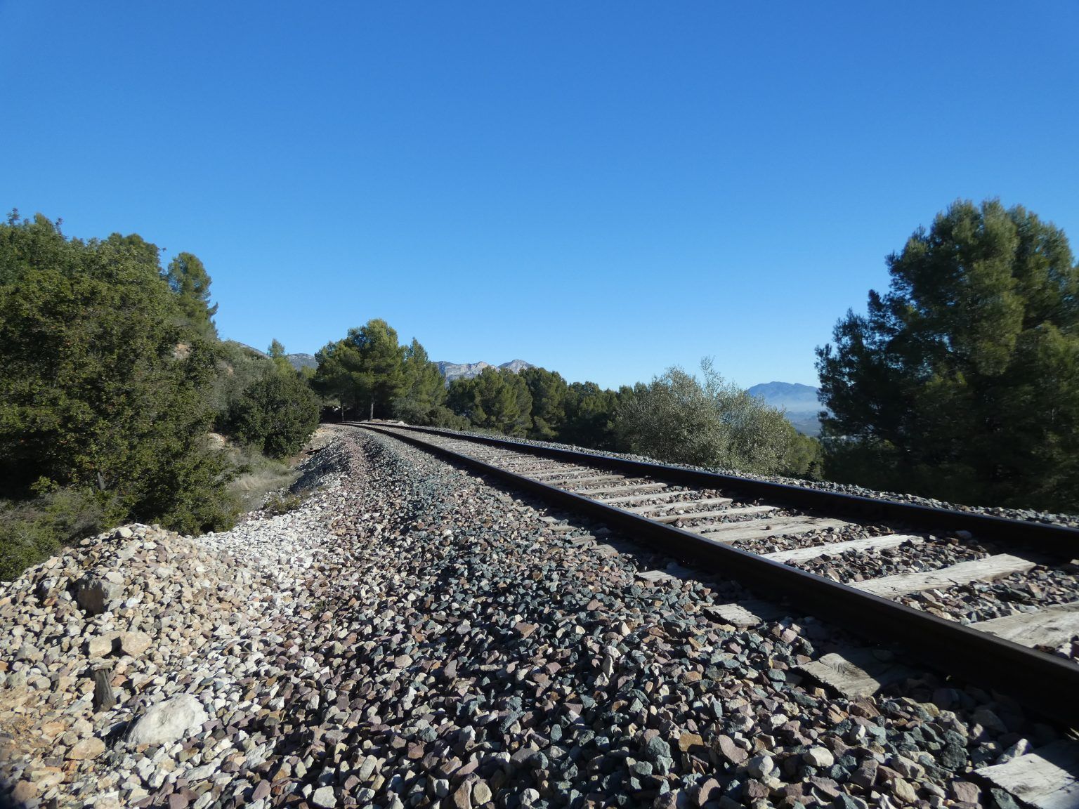 Muro de Alcoi: La "Font del Baladre" - "Penya del Frare"- "Font de l ...