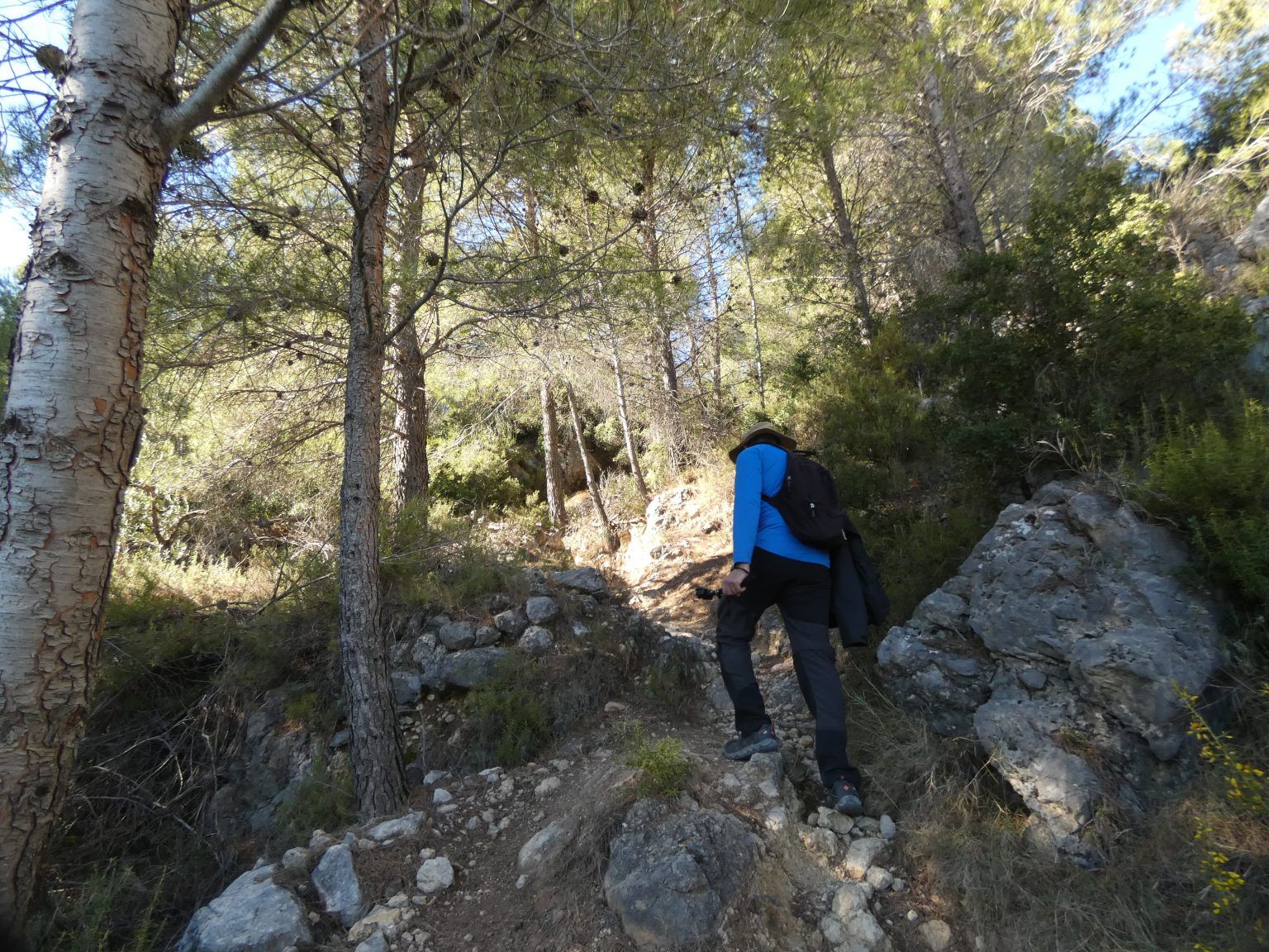 Muro de Alcoi: La "Font del Baladre" - "Penya del Frare"- "Font de l ...