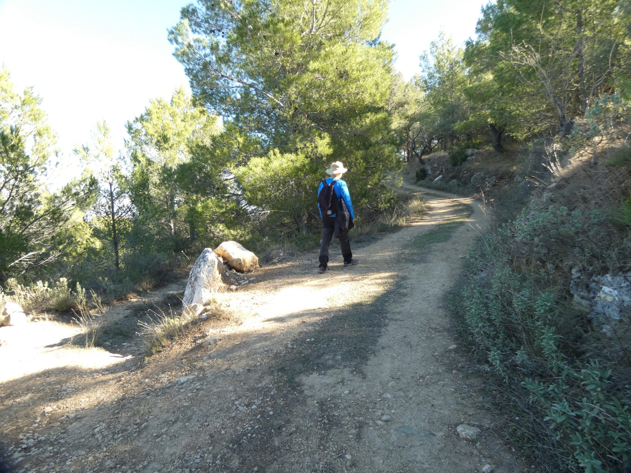 Muro de Alcoi: La "Font del Baladre" - "Penya del Frare"- "Font de l ...