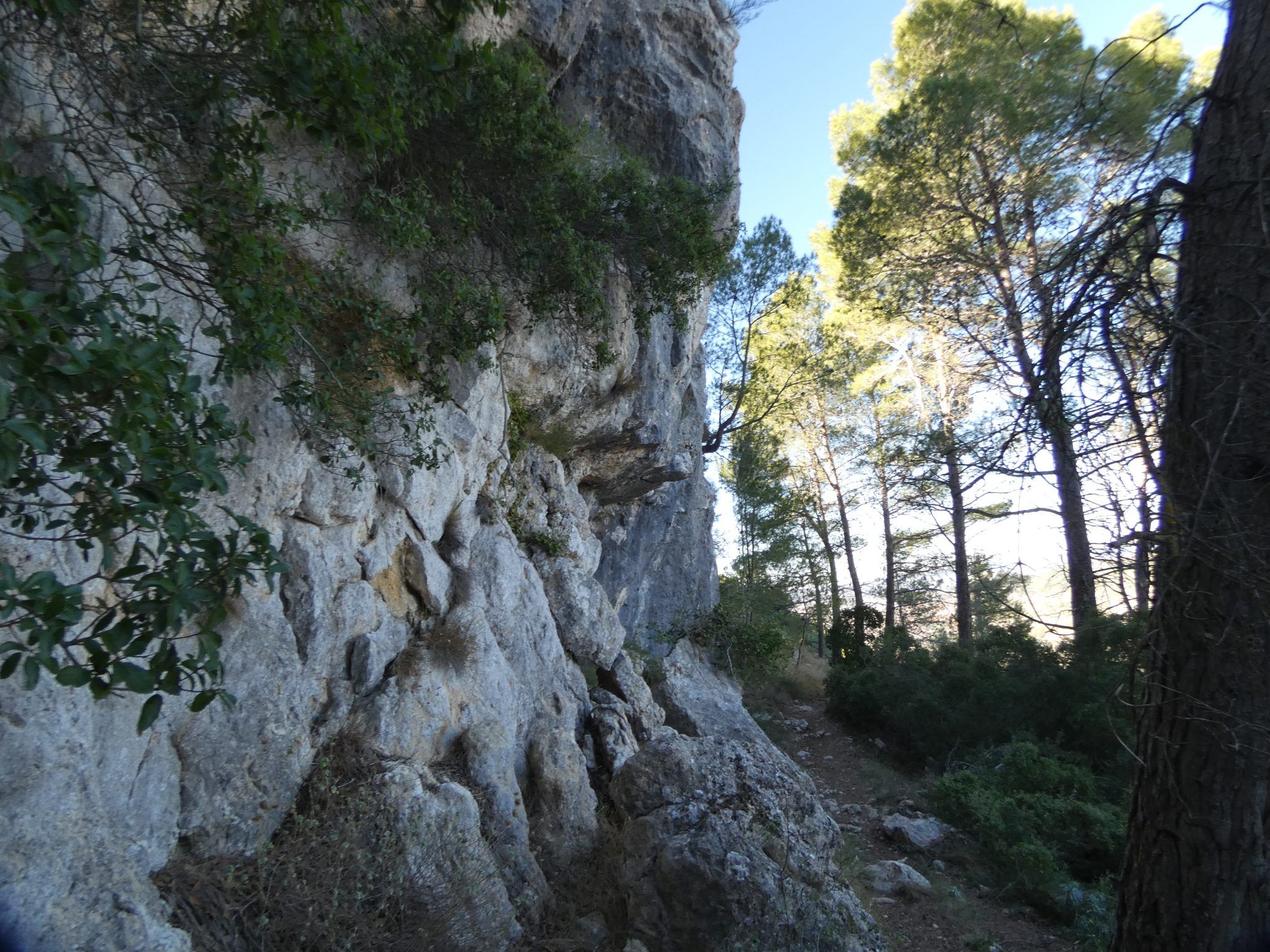 Muro de Alcoi: La "Font del Baladre" - "Penya del Frare"- "Font de l ...
