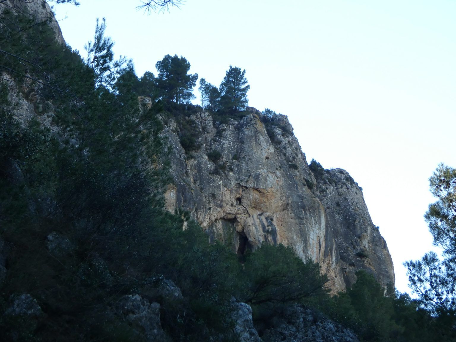 Muro de Alcoi: La "Font del Baladre" - "Penya del Frare"- "Font de l ...