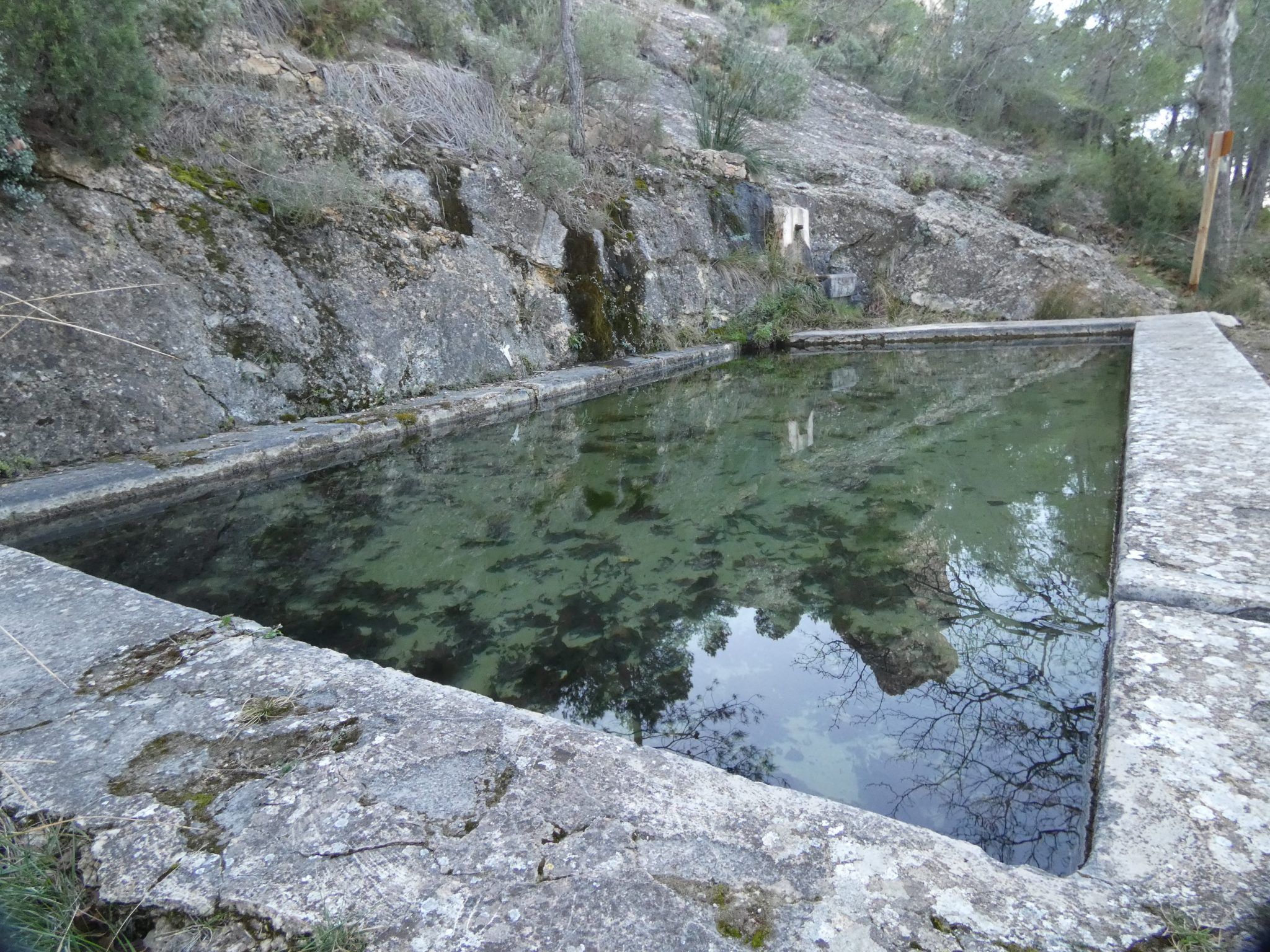 Muro de Alcoi: La "Font del Baladre" - "Penya del Frare"- "Font de l ...