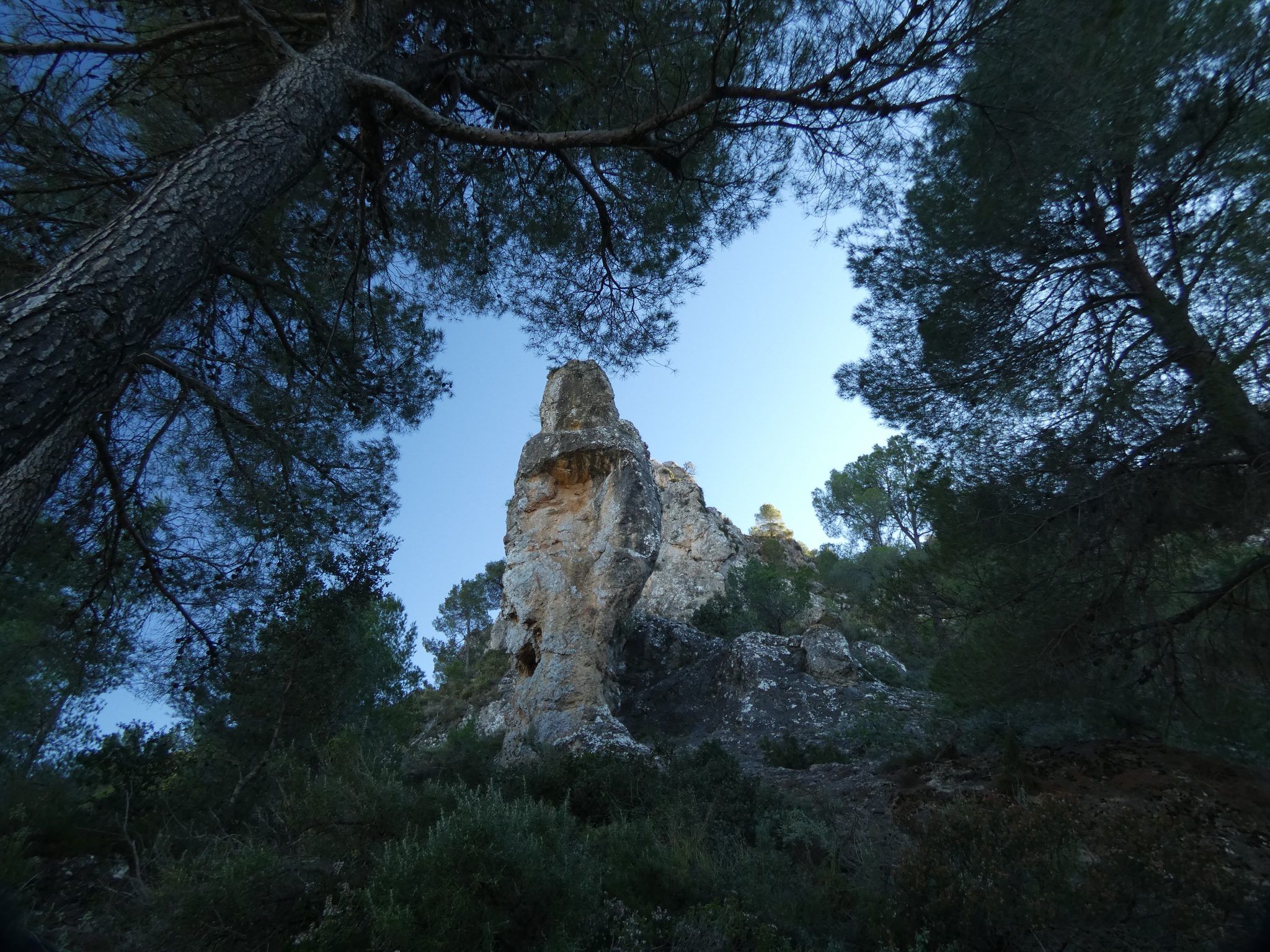 Muro de Alcoi: La "Font del Baladre" - "Penya del Frare"- "Font de l ...