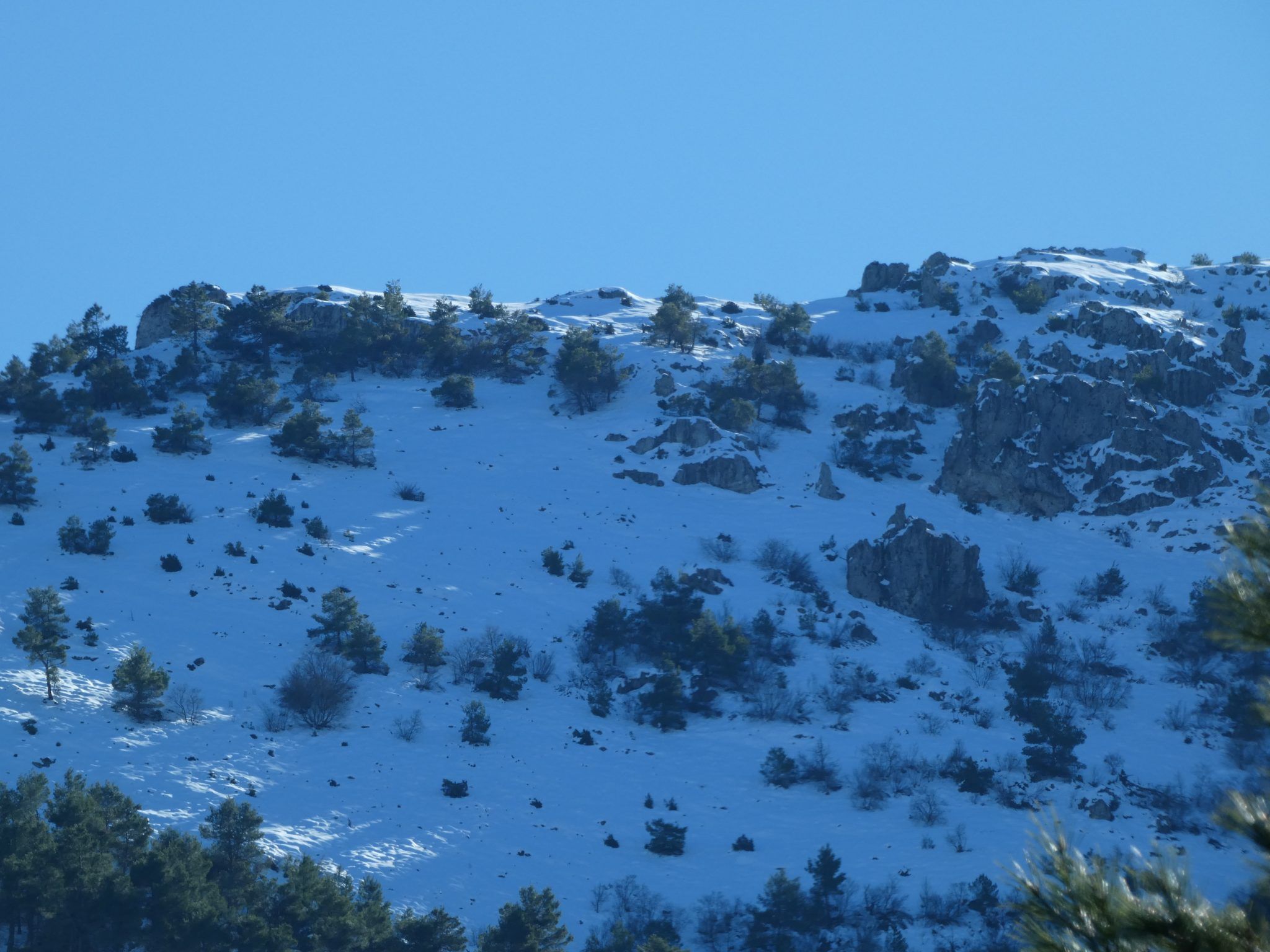 Muro de Alcoi: La "Font del Baladre" - "Penya del Frare"- "Font de l ...
