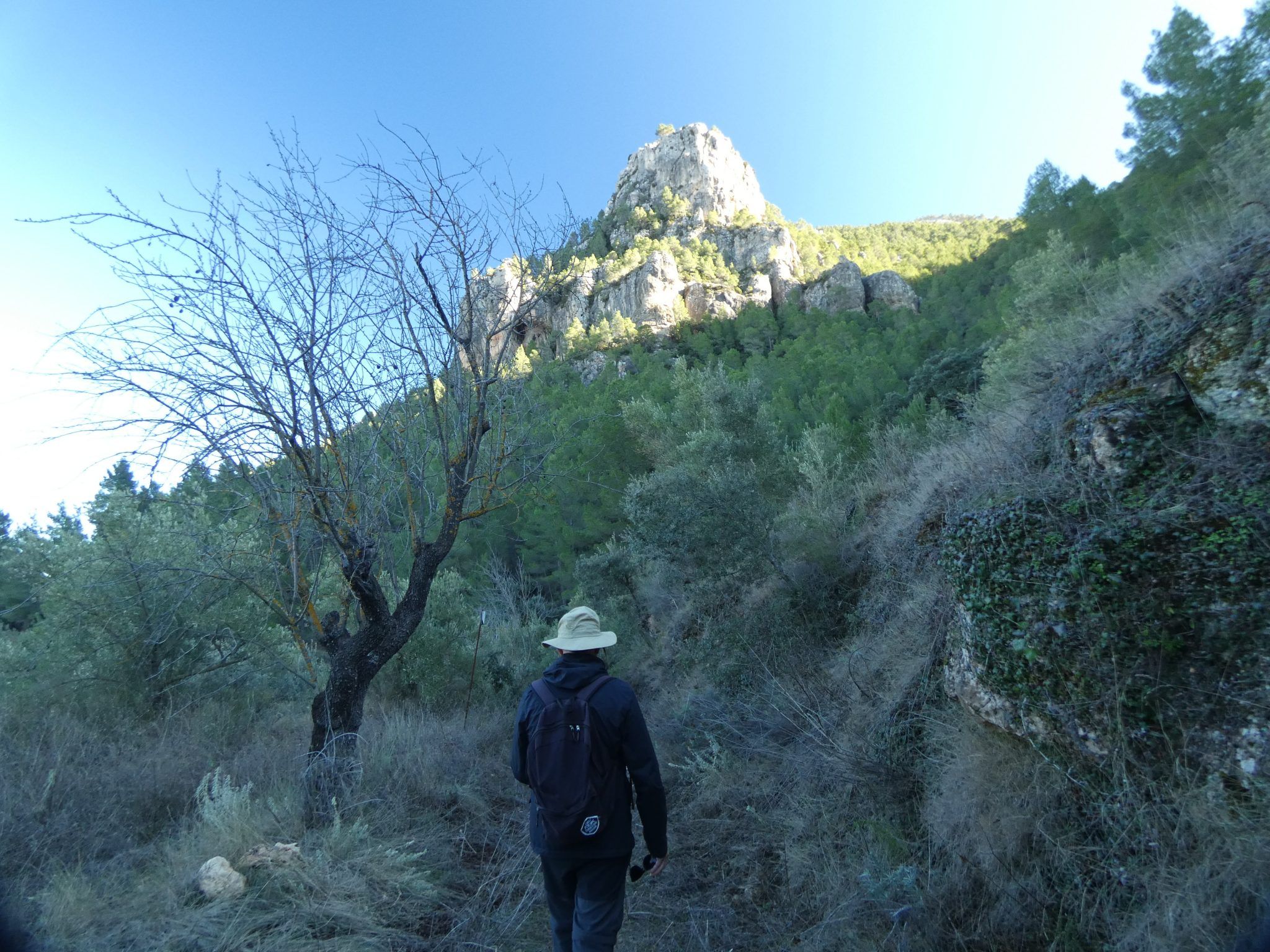 Muro de Alcoi: La "Font del Baladre" - "Penya del Frare"- "Font de l ...