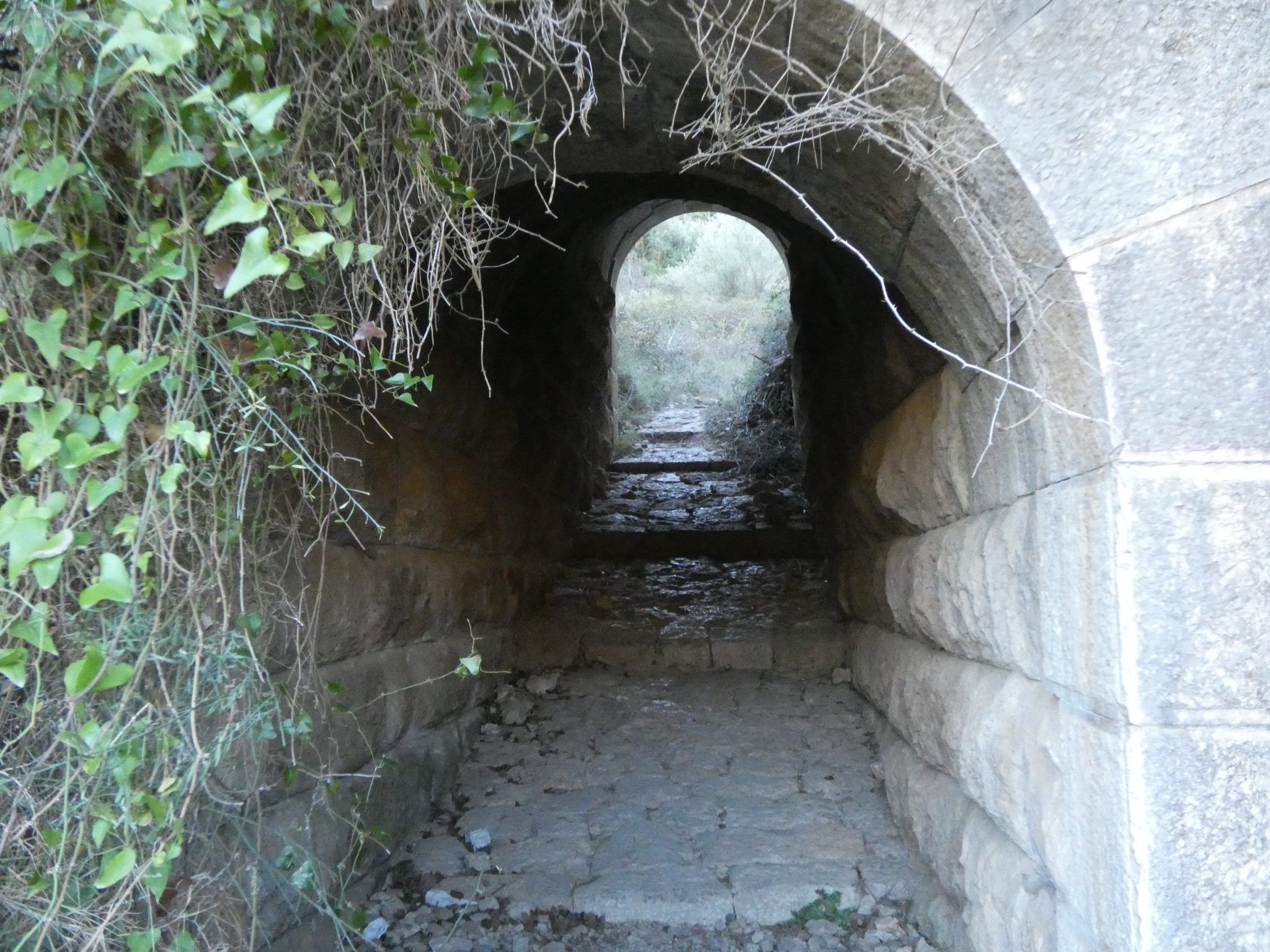 Muro de Alcoi: La "Font del Baladre" - "Penya del Frare"- "Font de l ...