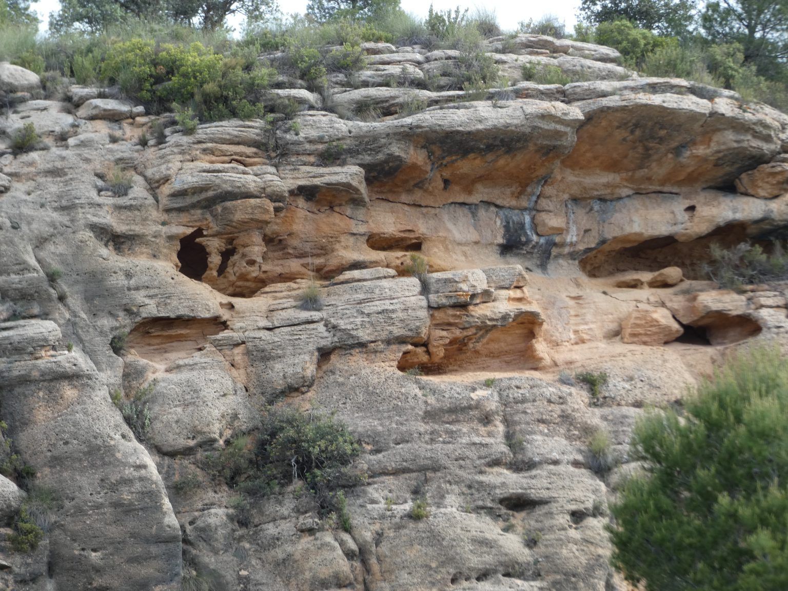 Yecla: Monte Arabí - Rutas para todos