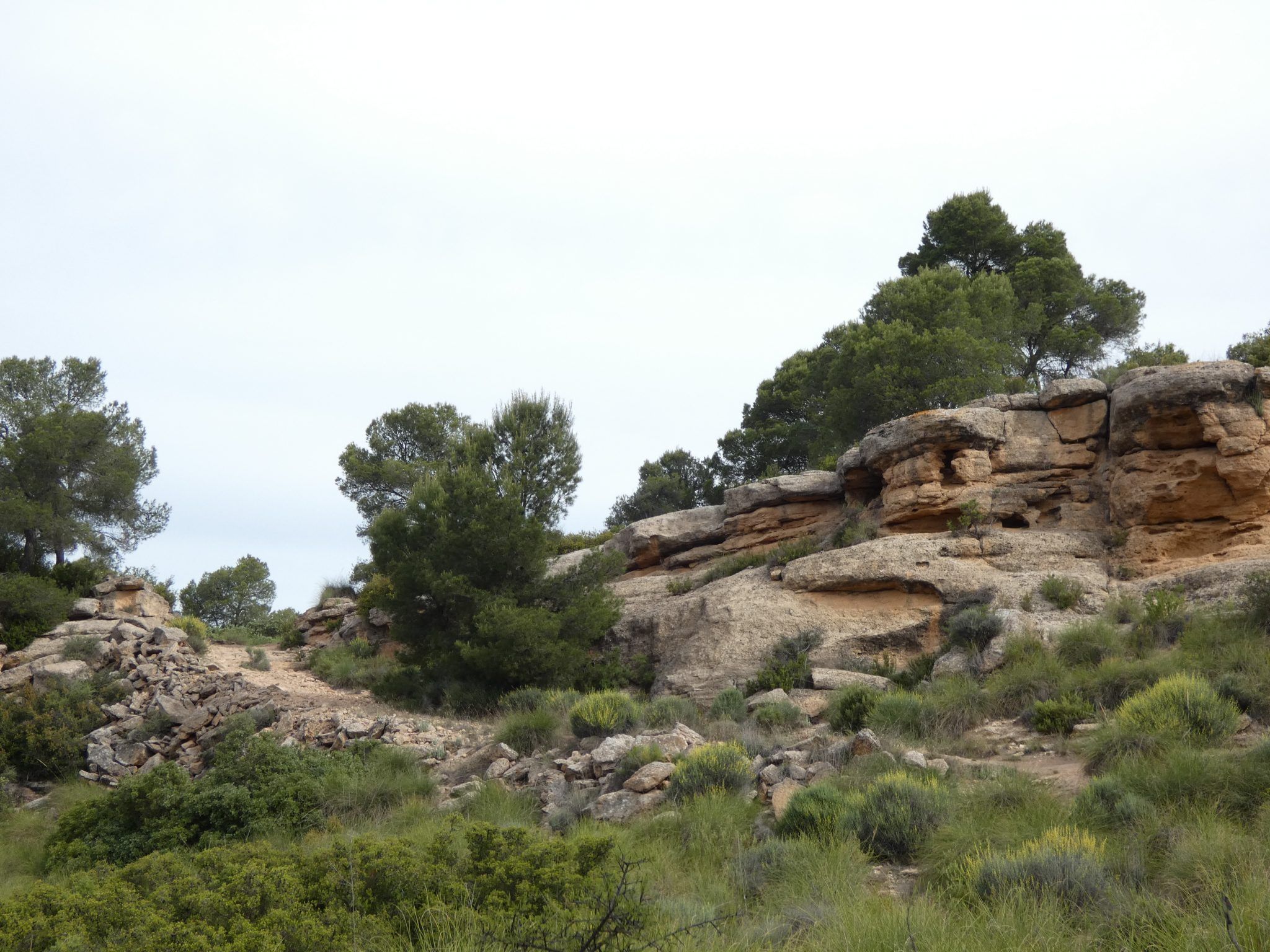Yecla: Monte Arabí - Rutas para todos