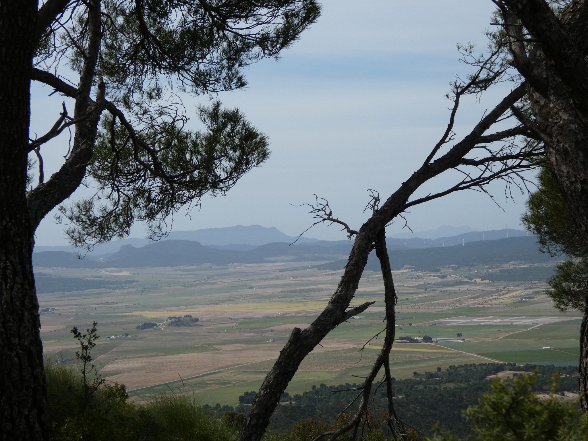 Yecla: Monte Arabí - Rutas para todos