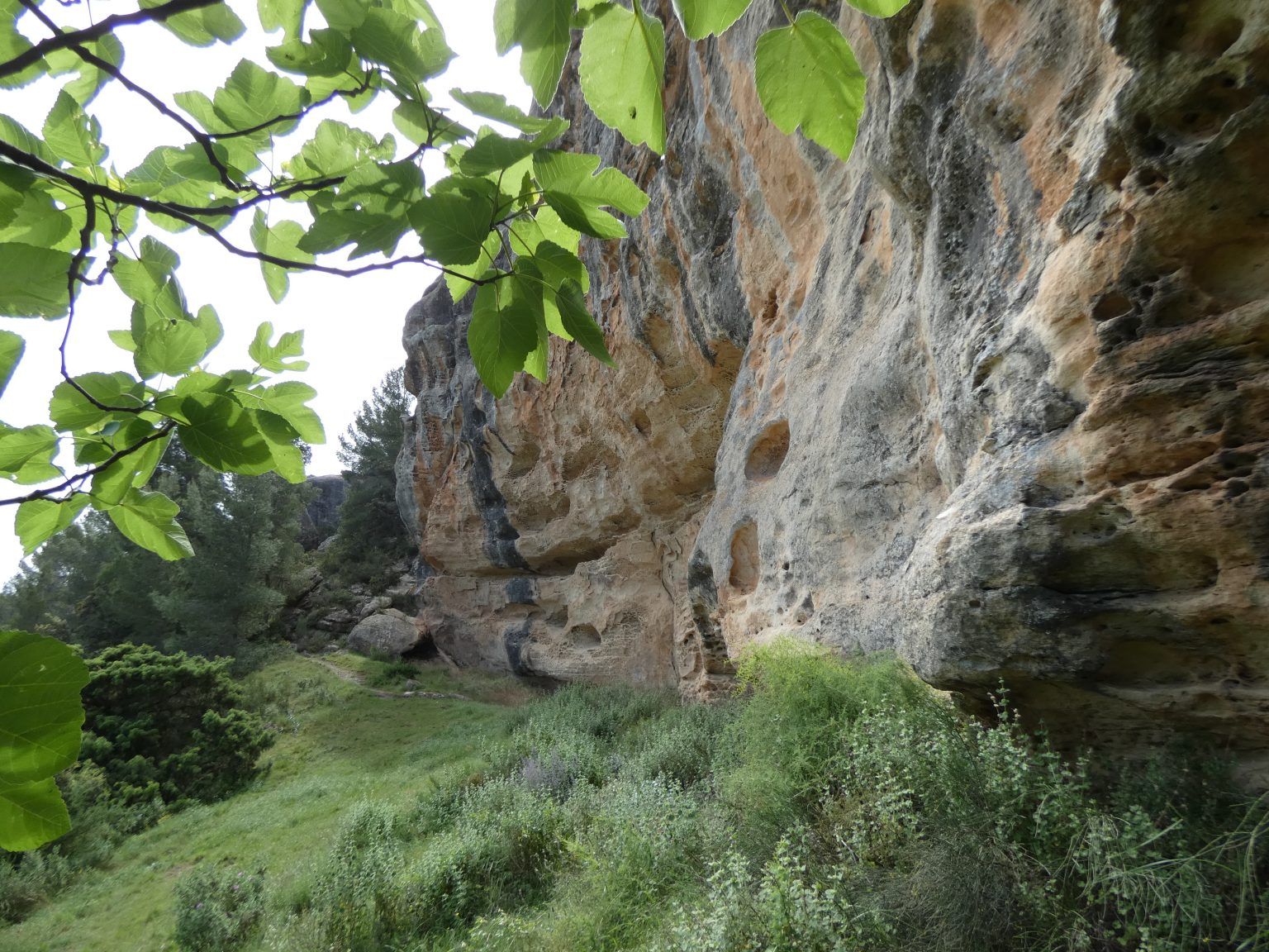 Yecla: Monte Arabí - Rutas para todos