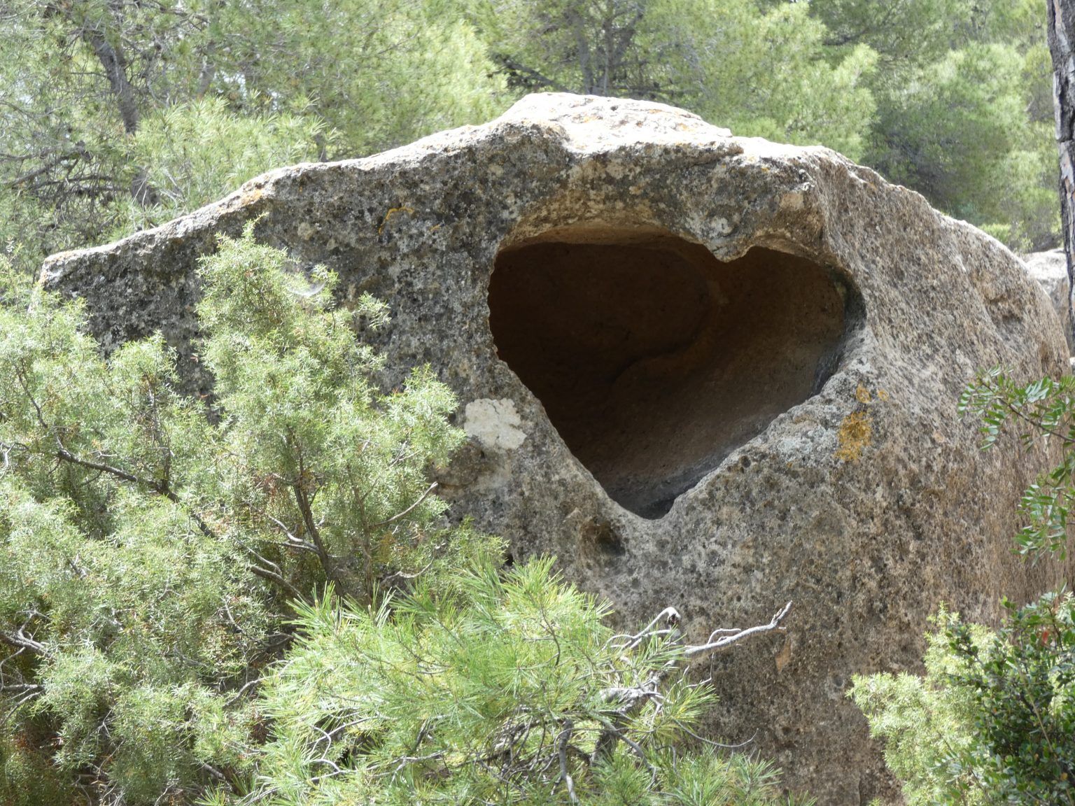 Yecla: Monte Arabí - Rutas para todos